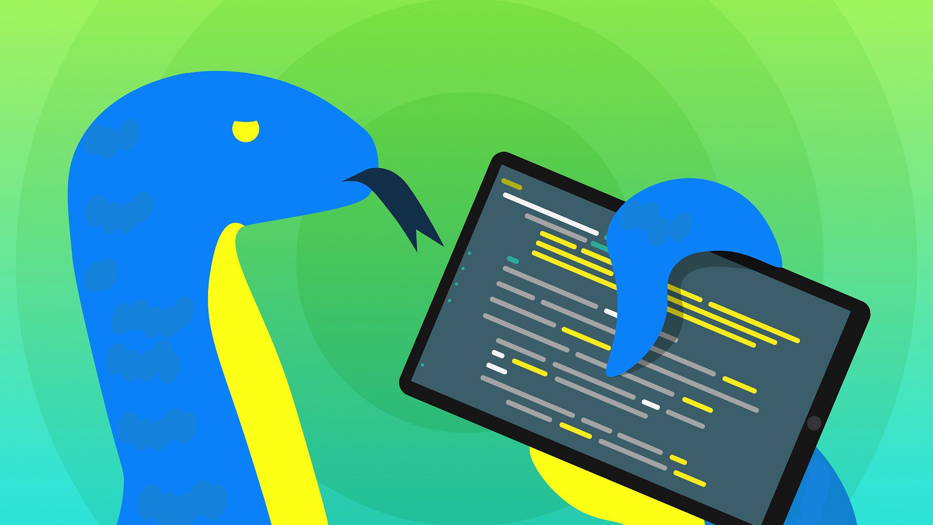 ¿Cuánto gana un programador de Python en Estados Unidos? Si eres senior ...